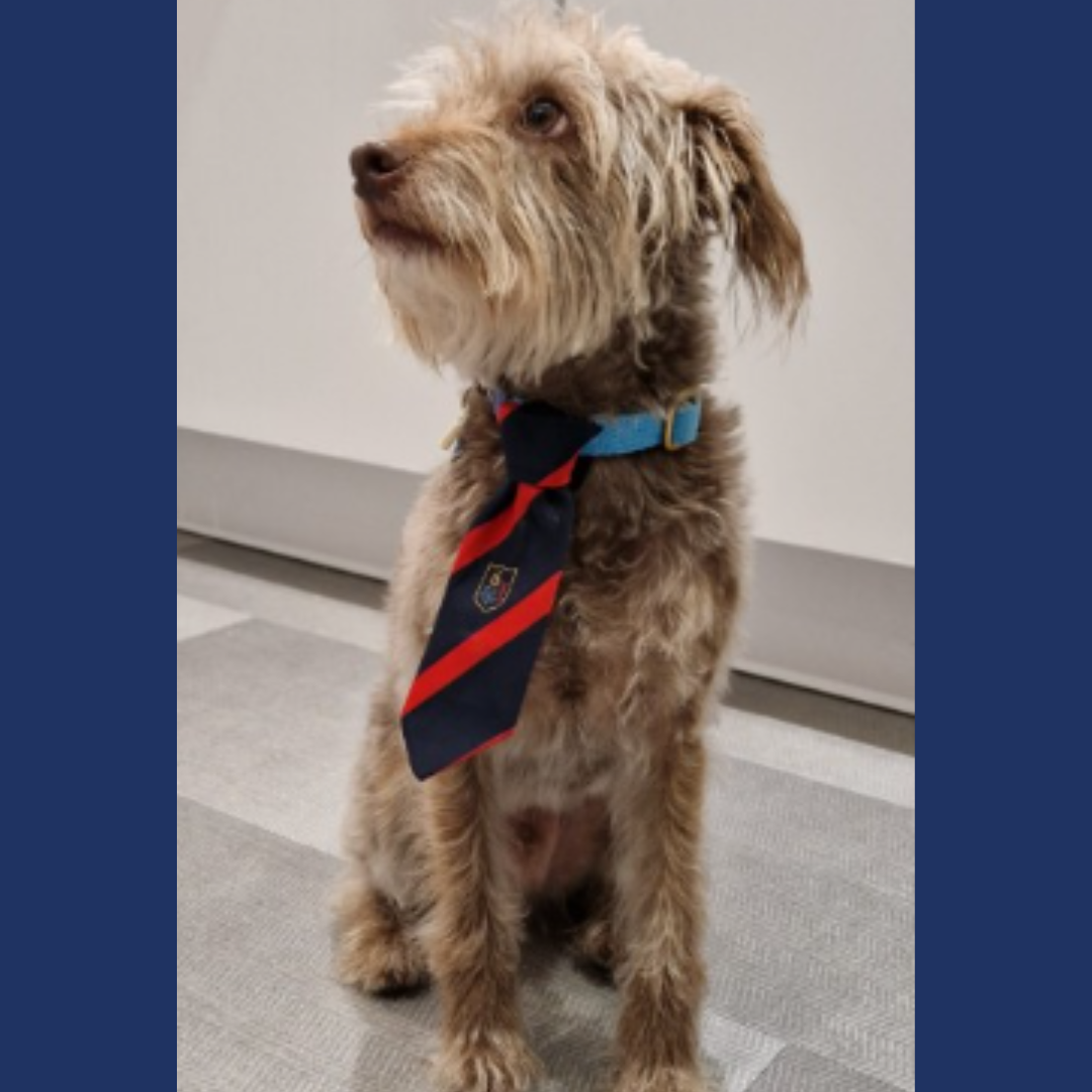 Ormiston Six Villages Academy - An Exciting new arrival!